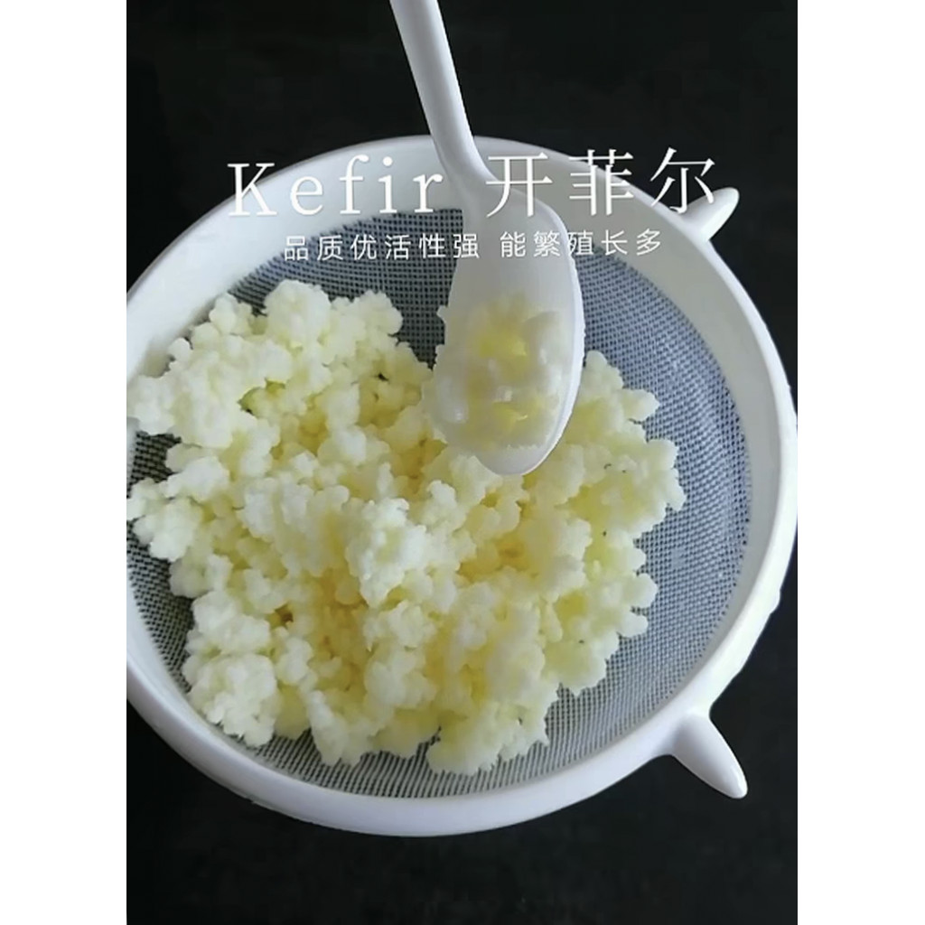 Kefir Starter Culture Room Temperature Fermented Milk Kefir kefir Kefir ...