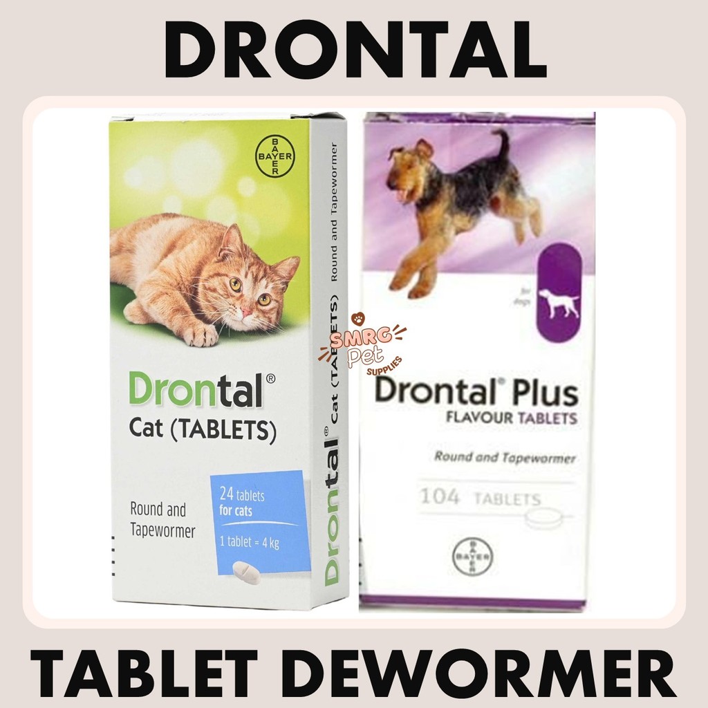 Drontal Dog/Cat Tablet Dewormer 1 Tablet | Shopee Philippines