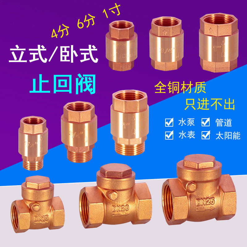 4/6 Points/3cm All Copper Vertical Check Valve Horizontal Check Valve ...