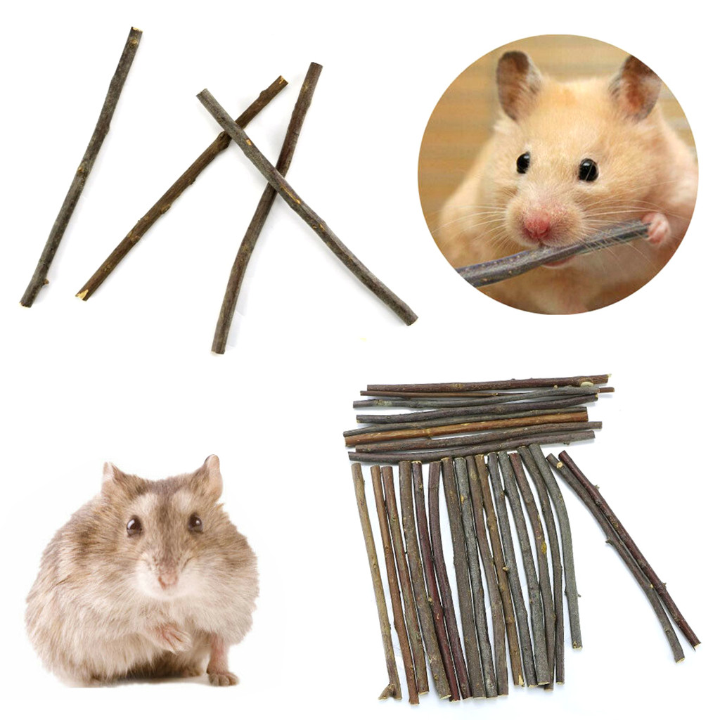1 Set Chew Stick Apple Tree Branch Hamster Squirrel Natural Toys ...