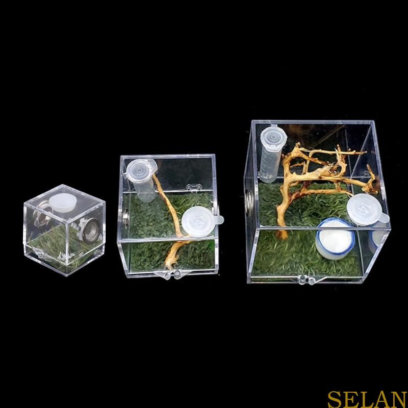 SELA Jumping Spider Habitat Acrylic Breeding Box Cage for Spiders Small ...