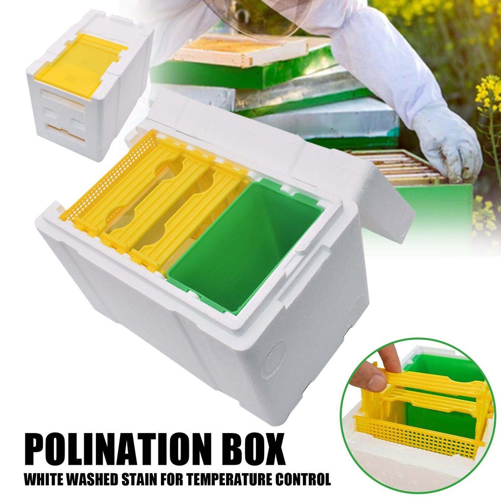 GG+Queen Bee Breeding Box Bee Mating Box Foam Bee Hive Box Beekeeper ...