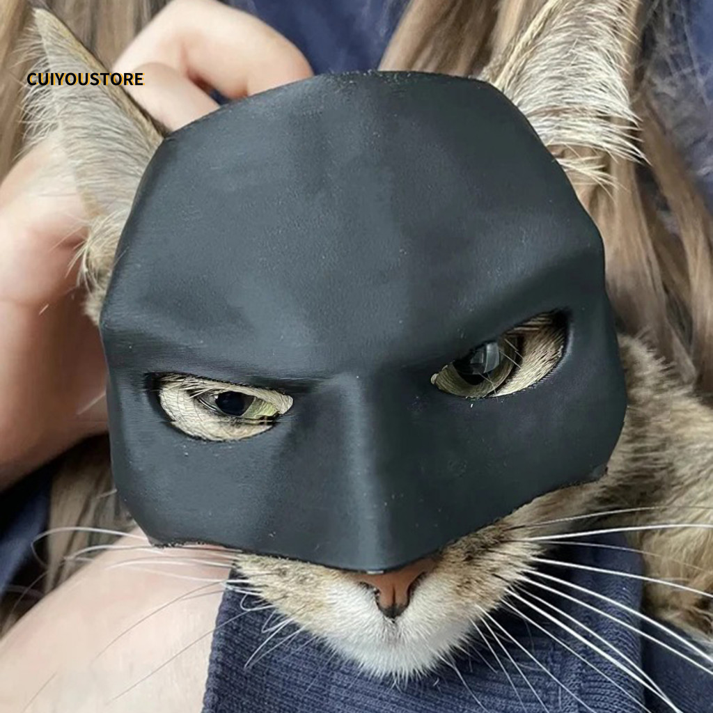 Cuiyouwj Cat Cosplay Accessory Halloween Cat Costume Accessory Spooky ...