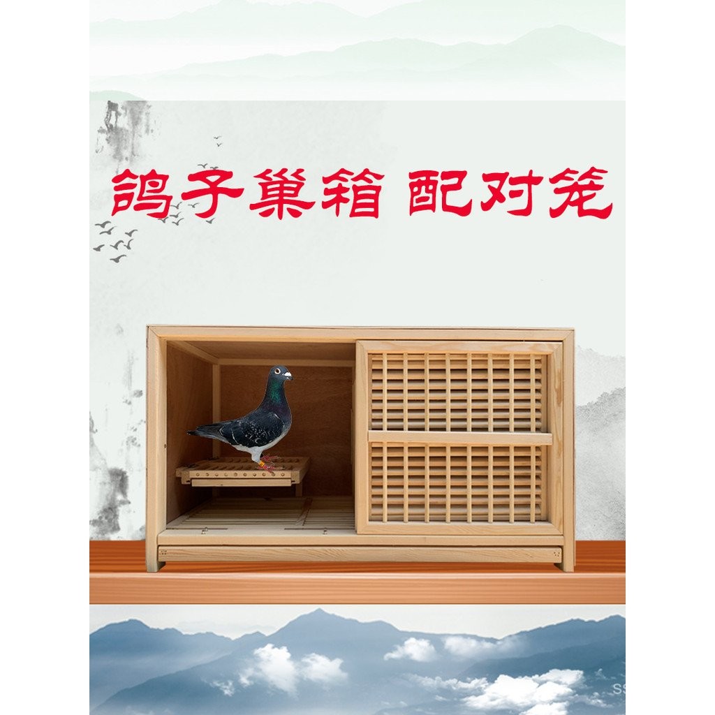 Racing Pigeon Homing Pigeon Pairing Cage Nest Box Racing Nest Box ...