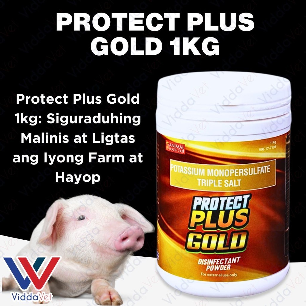 Protect Plus Gold Disinfectant Powder 1KG for Animal Use | Shopee ...