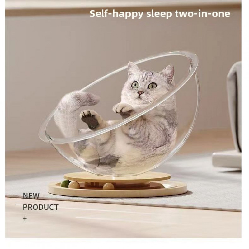 Acrylic Space Capsule Cat Funny Cat Self-Hi Artifact Four Seasons ...