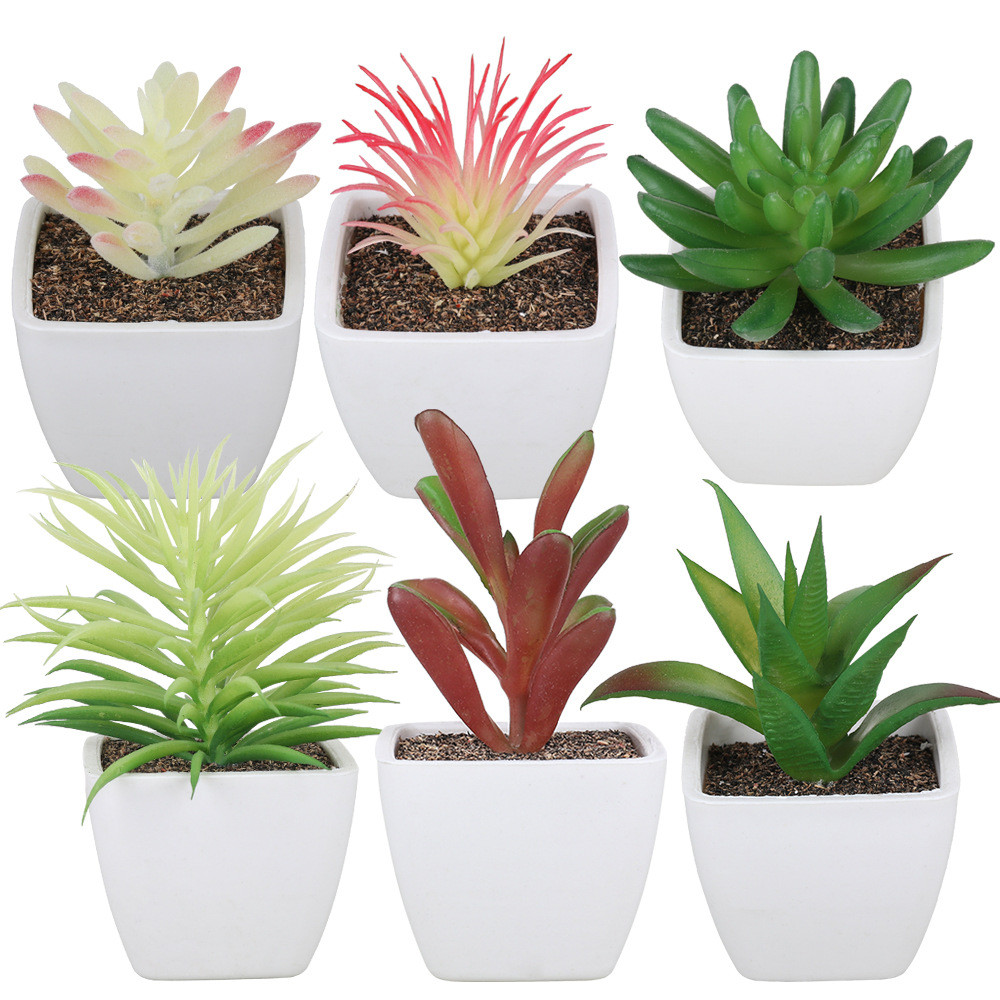 1Pcs Mini Evergreen Bonsai Cactus Succulent Artificial Succulent Bonsai ...