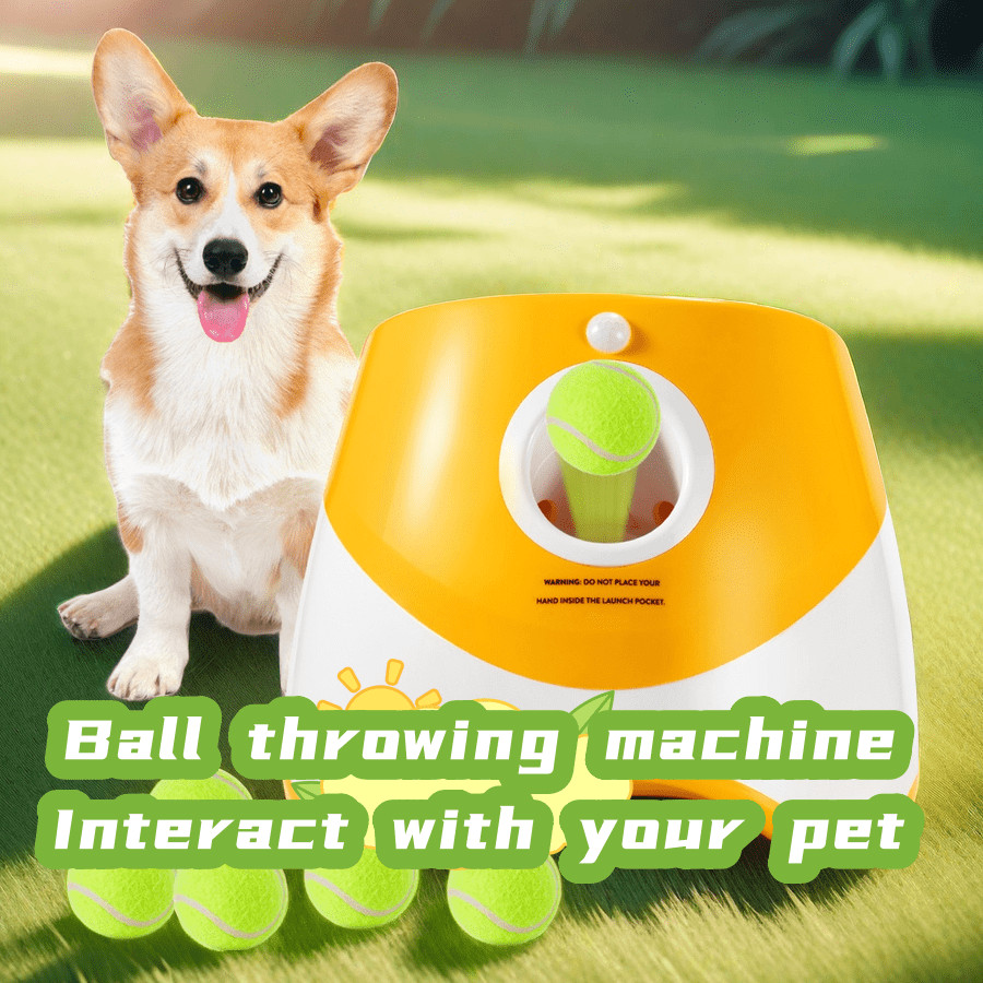 Dog Launcher Automatic Dogs Chase Toy Tennis Throwing Pinball Machine ...
