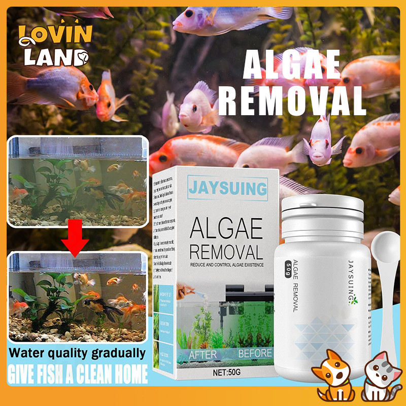 GG+Lovinland Algae Remover with Spoon Aquarium Algaecide cleaner ...