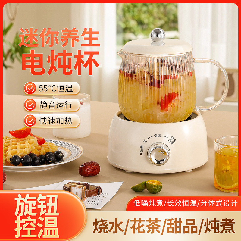 Mini Health Pot Small Office Electric Stew Cooker Health Bottle Scented ...