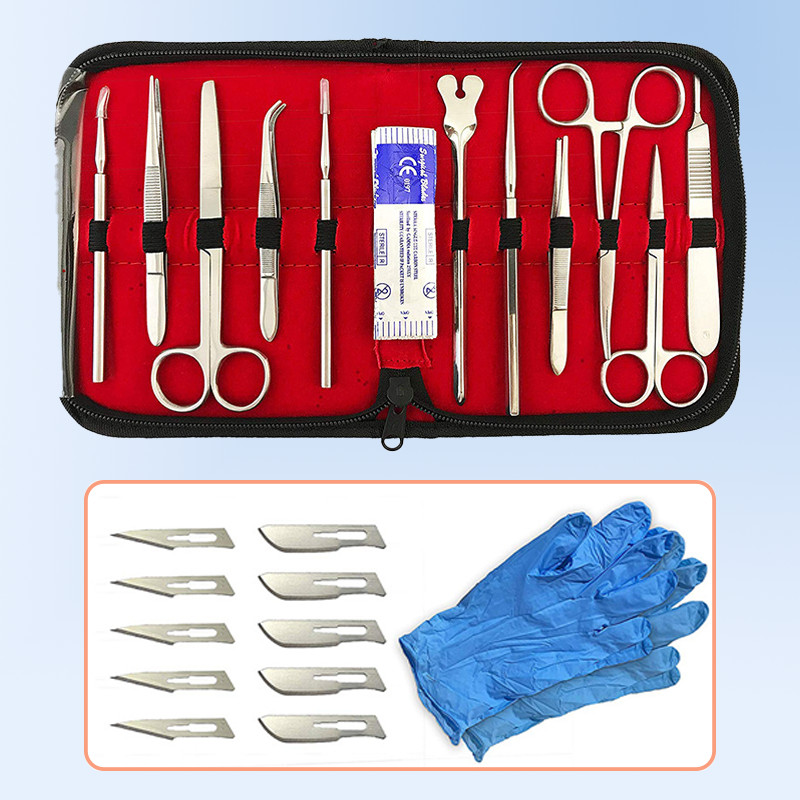 22PCS Practice Dissecting Tools Anatomy Teaching Equipment Stainless ...