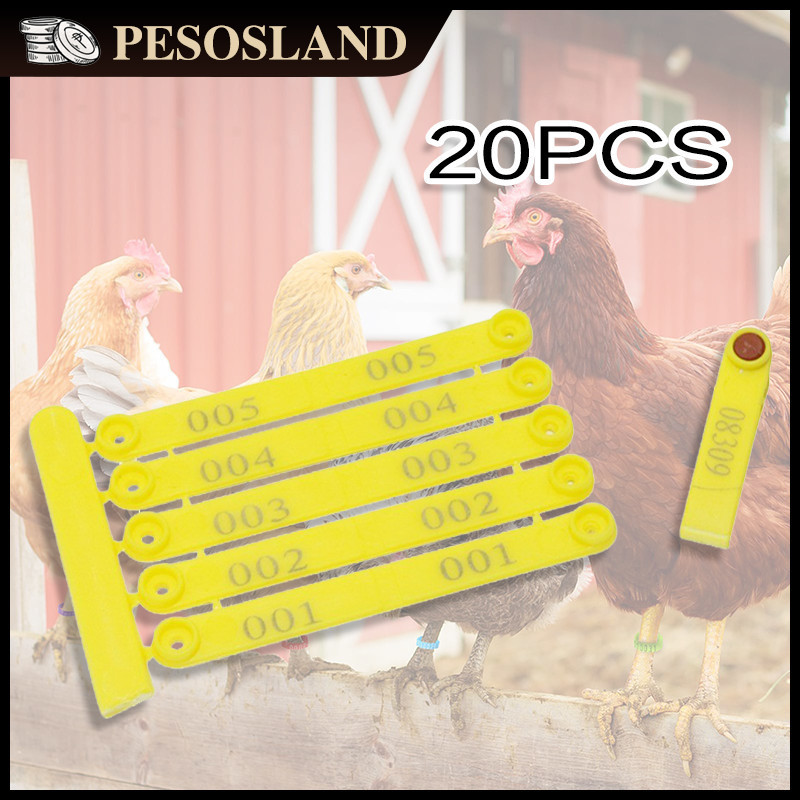 20Pcs Wing Band Chicken Wings Adjustable FlexiBand Trackingfowl Random ...