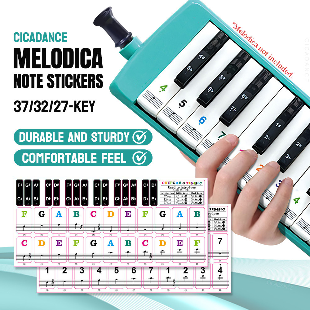 Melodica/Piano Keyboard Sticker 37/32/27 Keys Removable Transparent ...