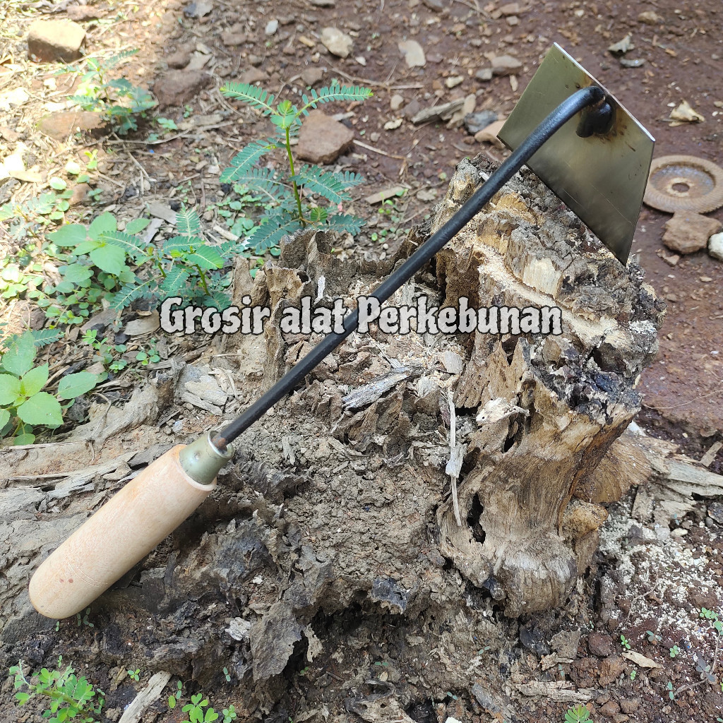 Anti-Rust Stainless Mini Hoe - Good Quality Multi-Purpose Garden Hoe ...