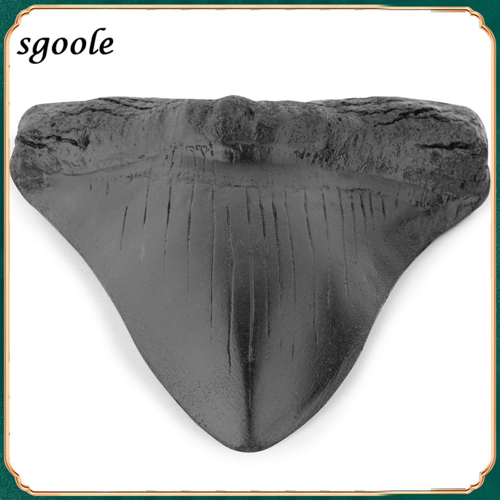 1/2 Shark Tooth Resin Realistic in Shape Thermostability Megalodon ...