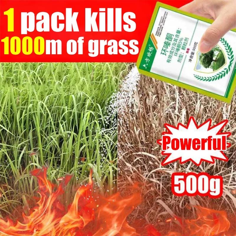Herbicide for grass killer 500g Powerful Kill tree grass Thoroughly ...
