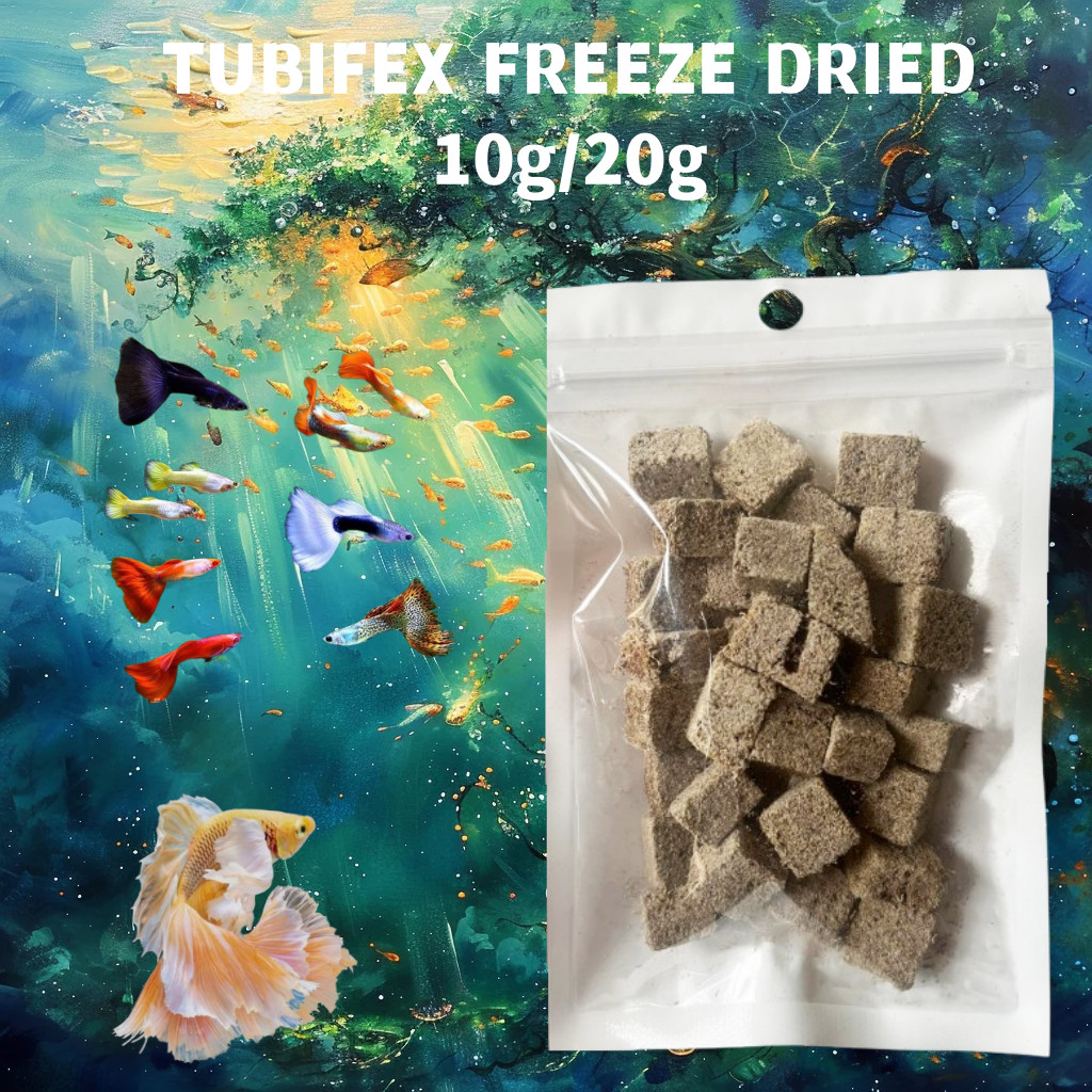 Freeze Dried Tubifex Worm ( 10 GRAMS，20 GRAMS ) Fish Food Turtles Food ...