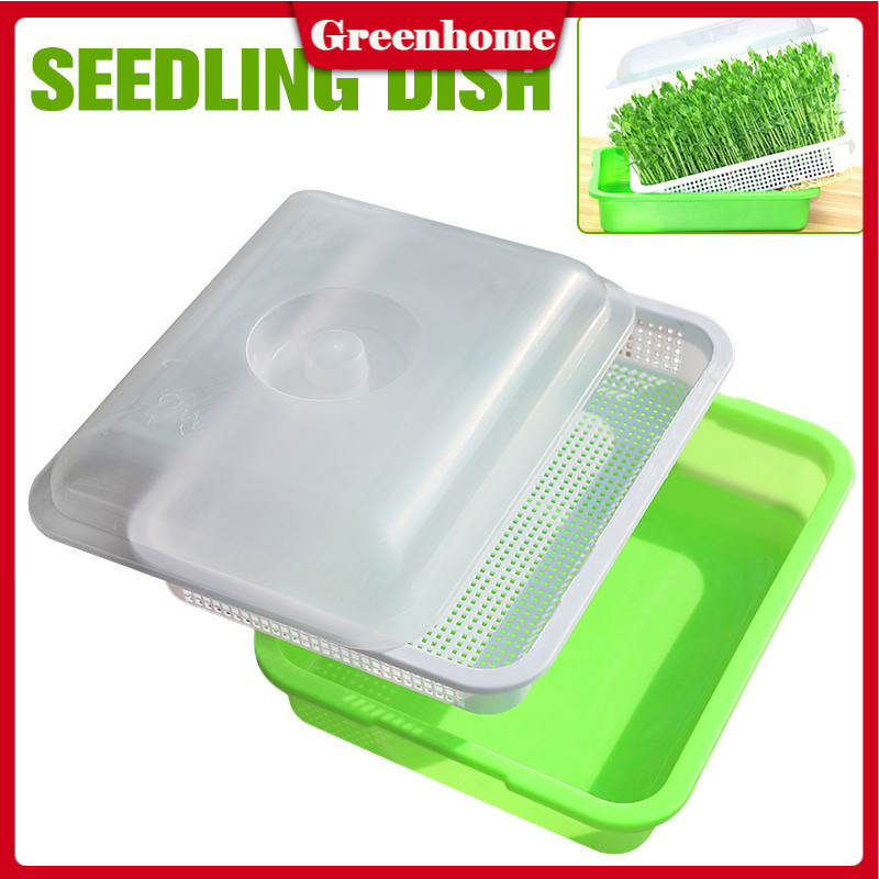Vegetable Sprout Tray Seedling Nursery Pots with Cover Hydroponic Bean ...