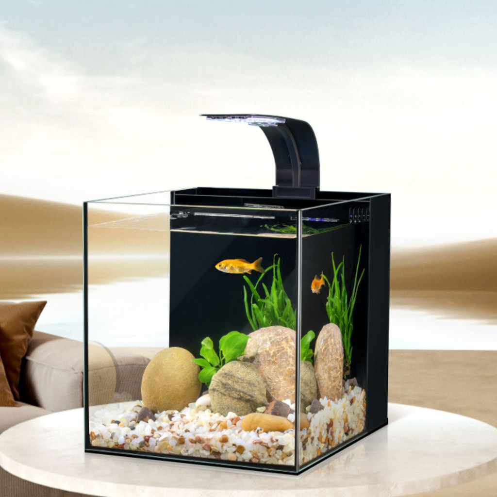 Small Fish Tank Ecological Desktop Back Filter Aquarium Aquascape Home ...