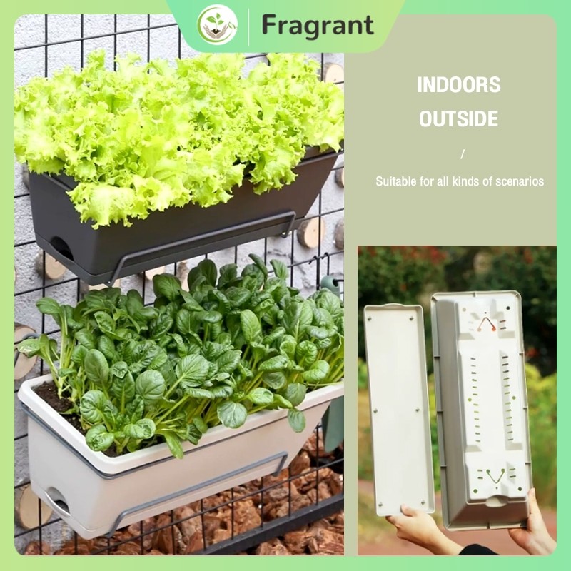 A rectangular vegetable planting basin on the balcony, a household ...