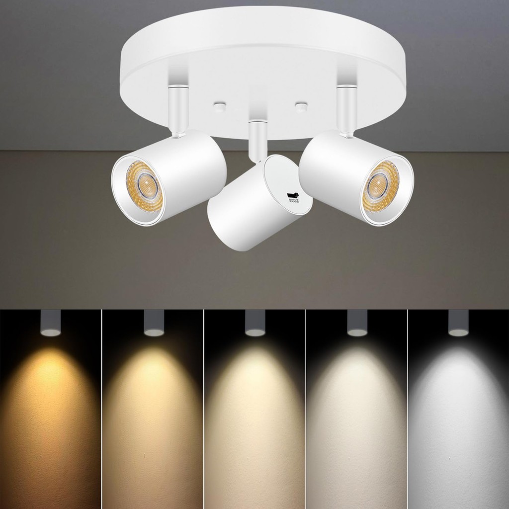 Matte White 3-Light LED Ceiling Spot Light Indoor Flush Mount ...