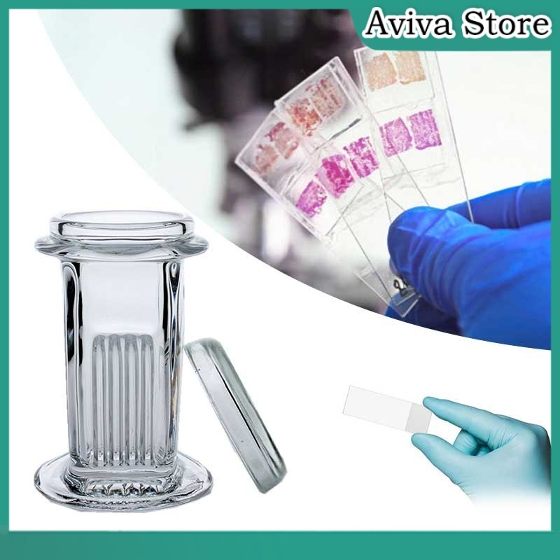 5 Slide Glass Slides Staining Jar Coplin Jar Glass Slides Staining ...