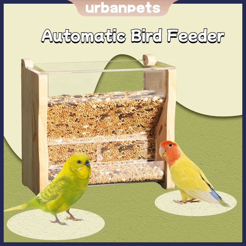 Parrot Automatic Feeder Anti-Spill And Splash Bird Food Box Cockatiel ...