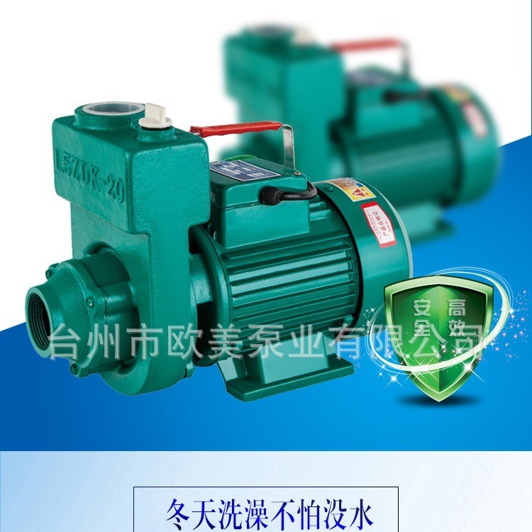 ZDK Single-phase Three-phase Ground Water Large Flow Self-priming Pump ...