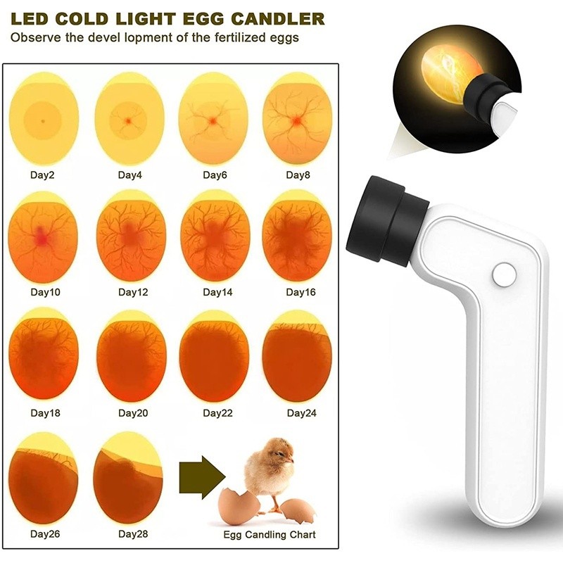 [Hot Sale]Egg Candler Tester Rechargeable Wireless Cool Light Incubator ...