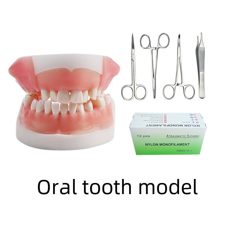 Oral Suture Practice Model with Needle and Thread Equipment Tooth ...