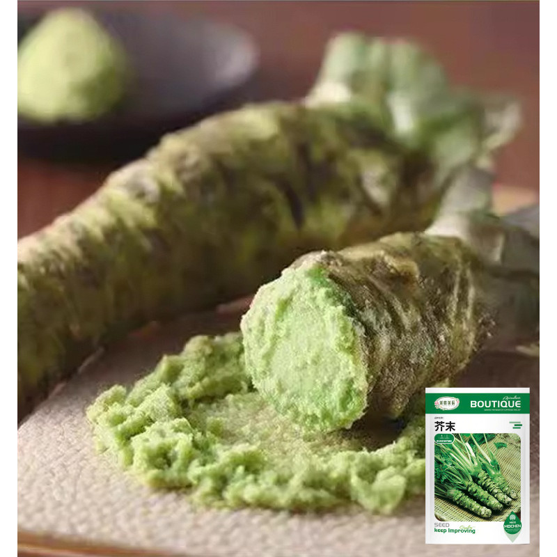 Imported Wasabi Seeds | Shopee Philippines
