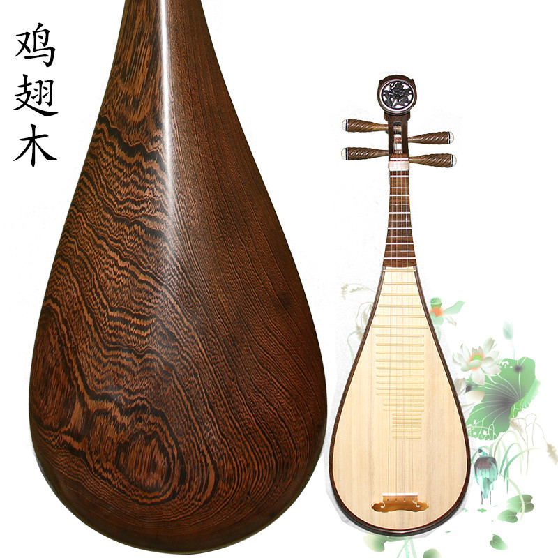 Pipa Musical Instrument Door Frame Pipa Professional Performce Beginner ...