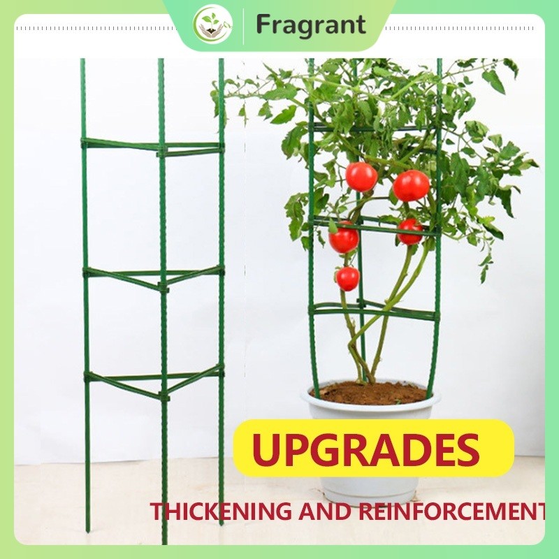 DIY Climbing Vine Assembly Stand Tomato Stand Tripod | Shopee Philippines