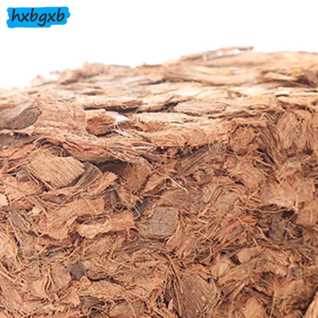 1/2/3 Premium Organic Coco Coir Brick Growing Shell Soil Potting ...