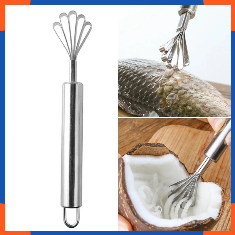 1 PC Coconut Shaver Coconut Grater Scraper Fish Scale Remover Coconut ...