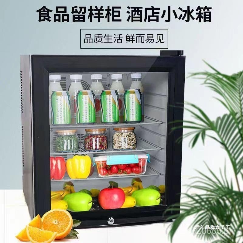 Commercial and Household Small Refrigerator Sample Cabinet Hotel Fresh ...