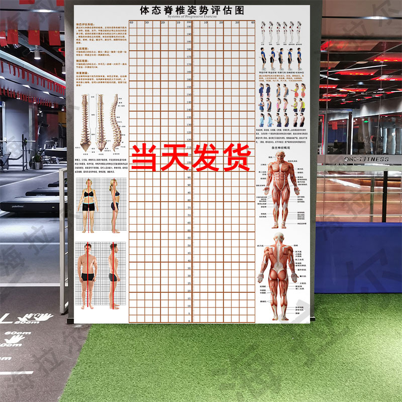 In-Stock Posture Assessment Chart Yoga Personal Training Body ...