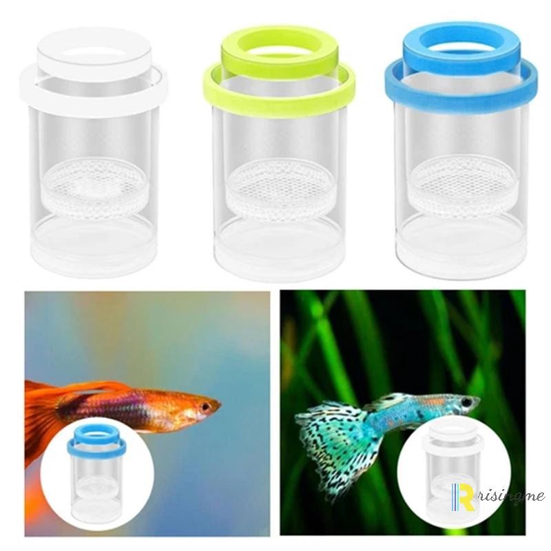 [Risingme] Floating Fish Breeding Isolation Box Fish Tank Hatching ...