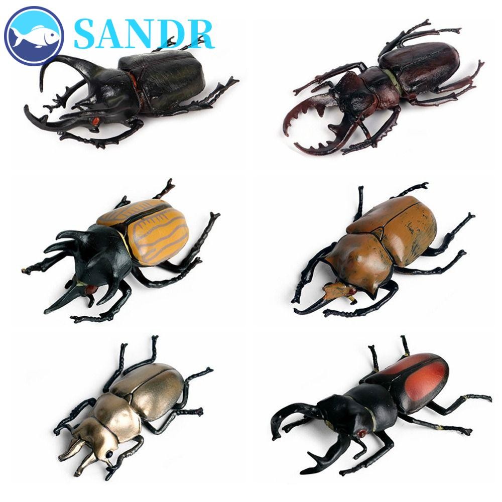SANDR Insect Animals Model, Realistic Longhornedbee Beetle Action ...