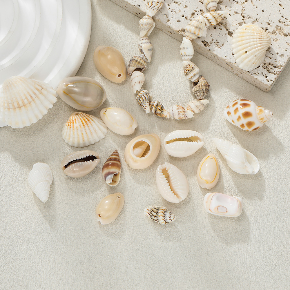 St. kunkka 10Pcs Natural Shell Pendant Multiple Styles Conch Beads for ...