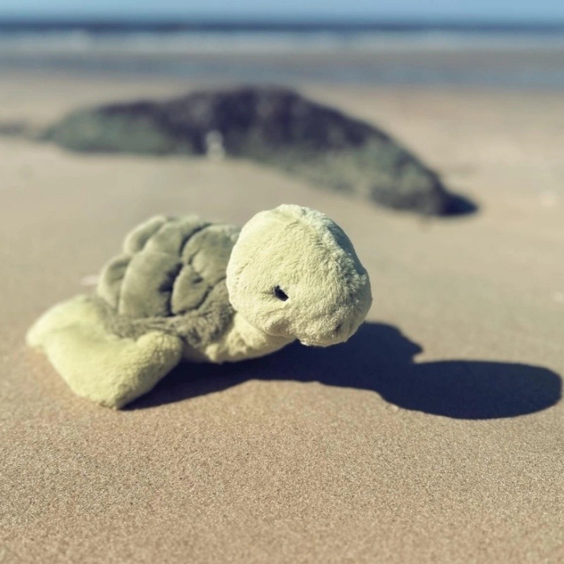 Cute Turtle Doll Plush Doll Simulation Turtle Soft | Shopee Philippines