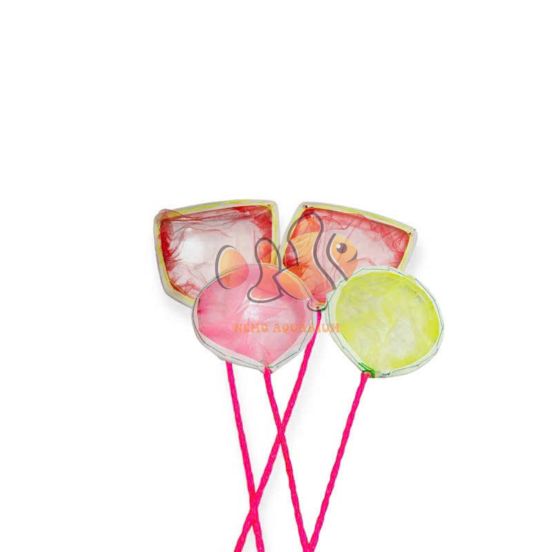 Diy MINI SMOOTH NET RACKET – FISHING RACKET, BOBO, ARTEMIA | Shopee ...