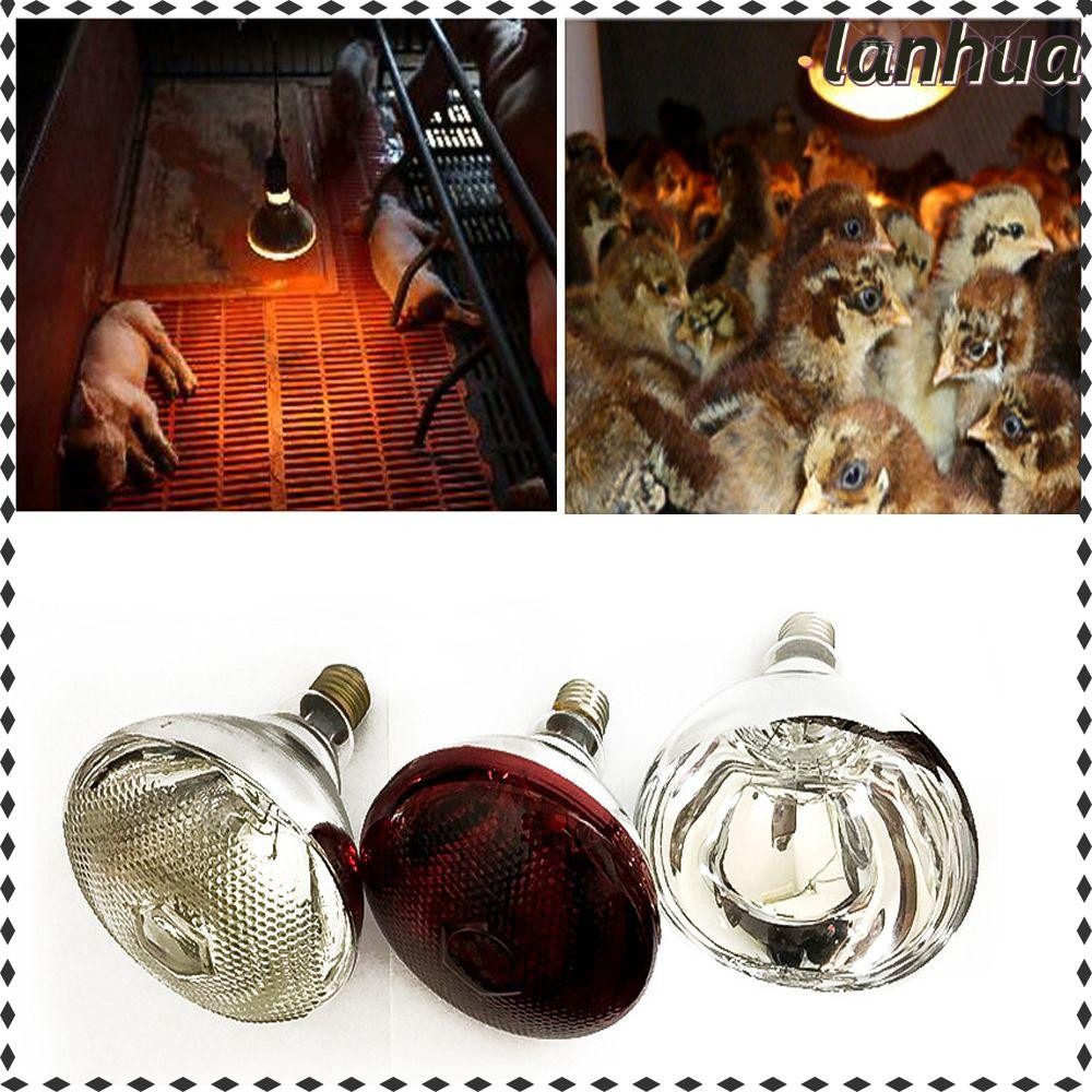 LANHUA Farming Lampshade Dog Pig Chicken Waterproof and -proof Poultry ...