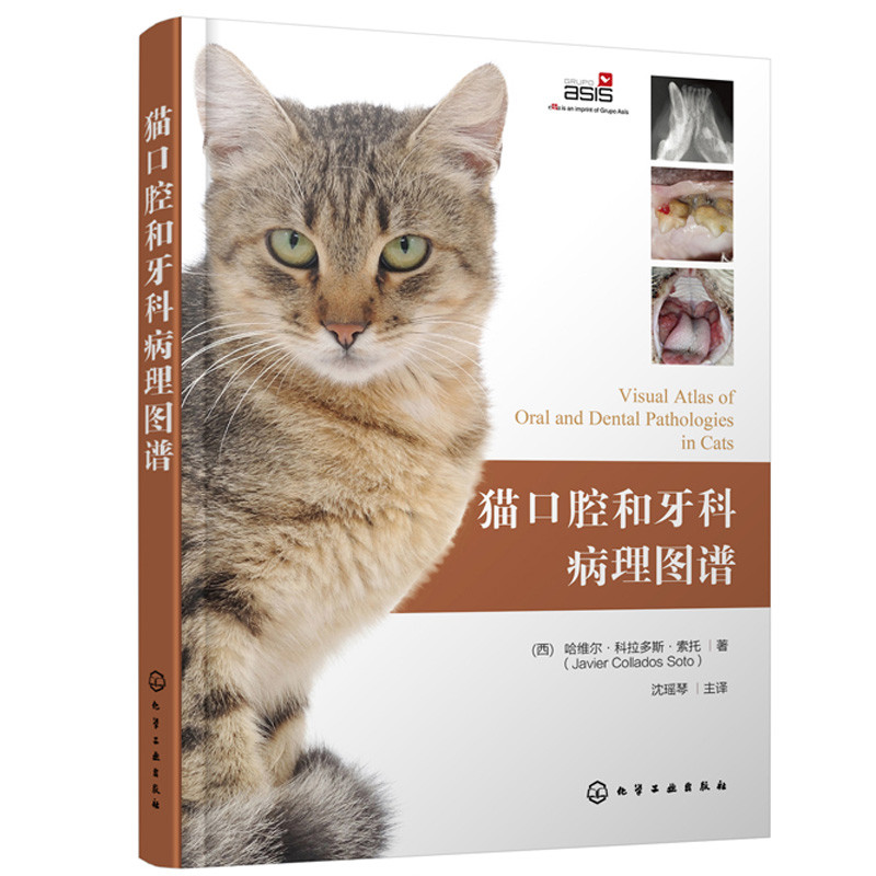 Atlas of Oral and Dental Pathology of Cats Canine and Feline Histology ...