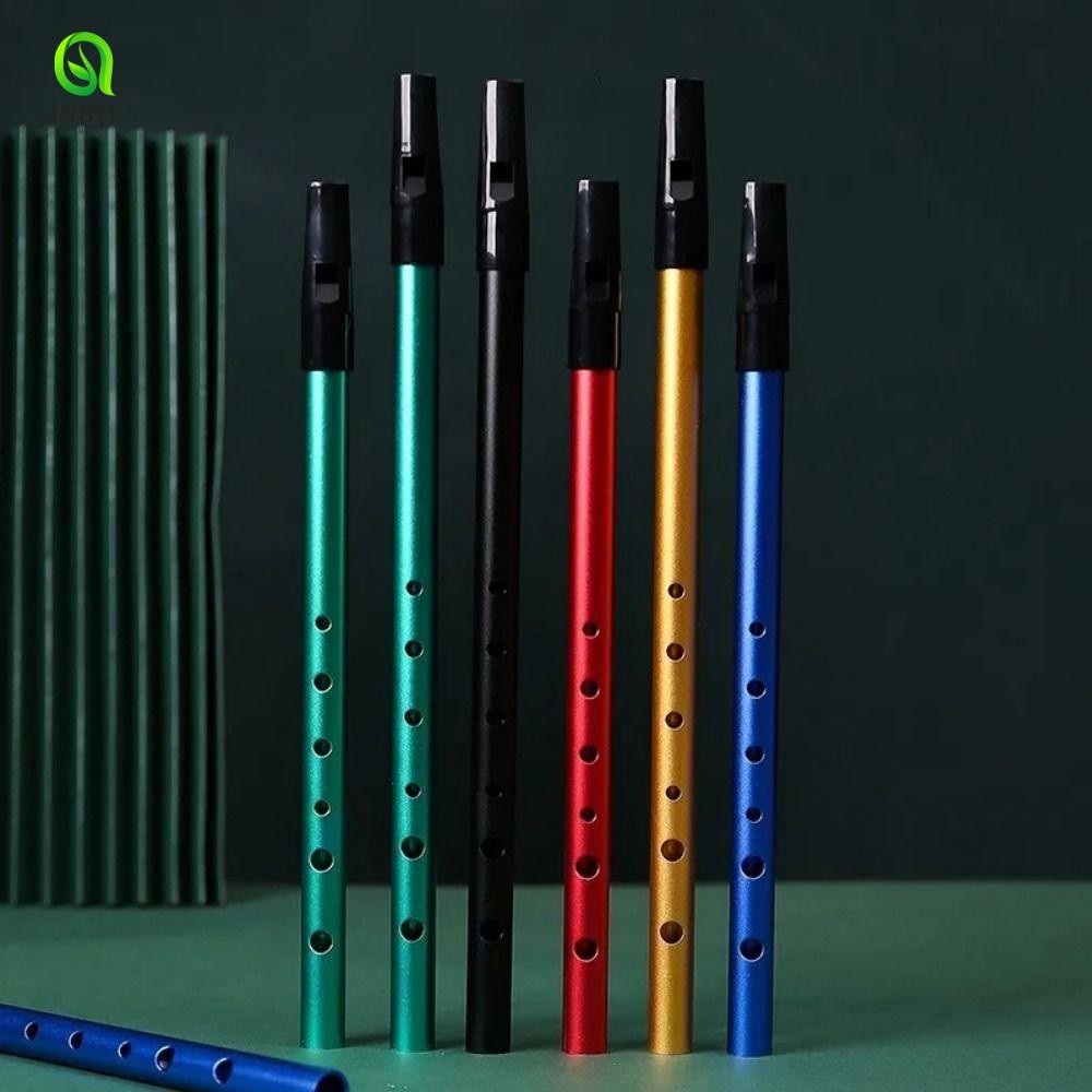 JNBYE Irish Whistle C/D Key, C/D Key 6 Holes Irish Whistle Flute, Tin ...