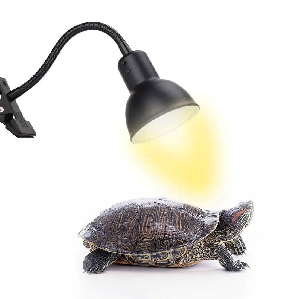 25/50/75w Ceramic Heating Turtle Lamp For Reptiles Turtles Lamp 360 ...
