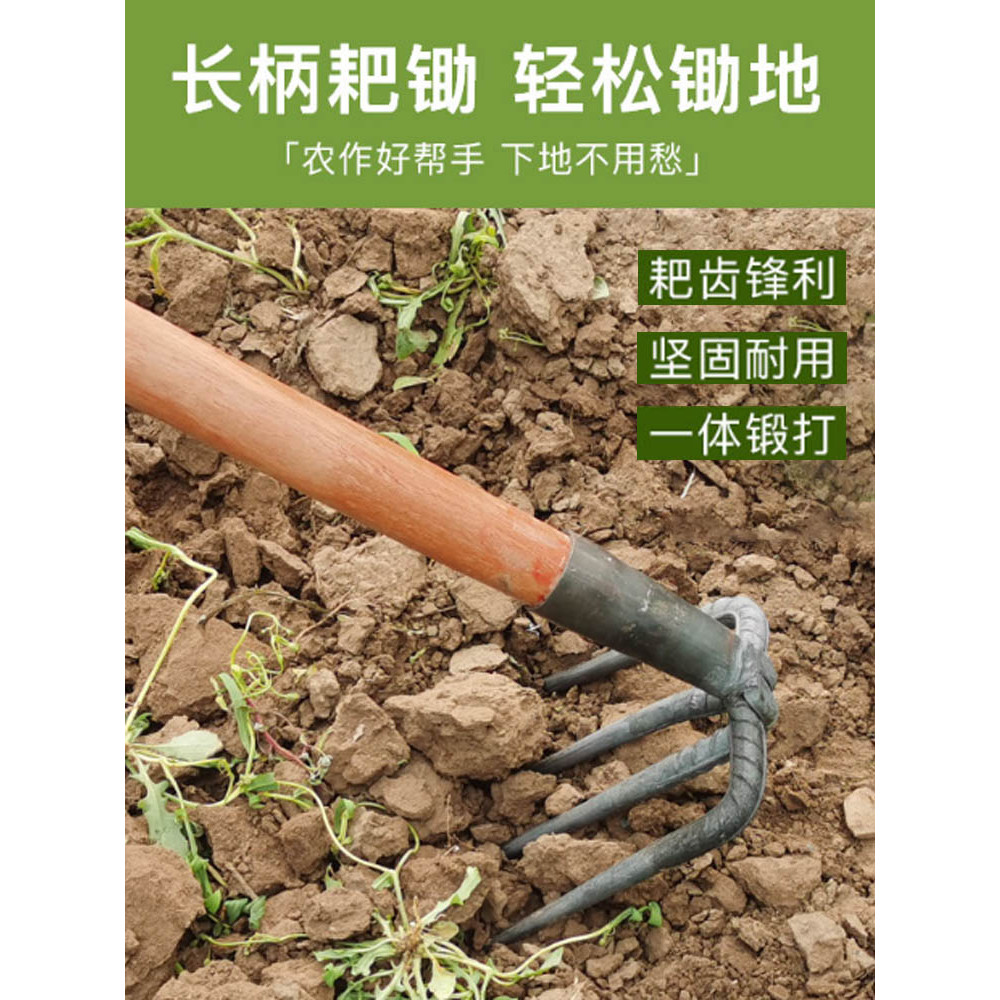 Two-Tooth Three-Tooth Steel Rake Garden Nail Rake Agricultural Tools ...