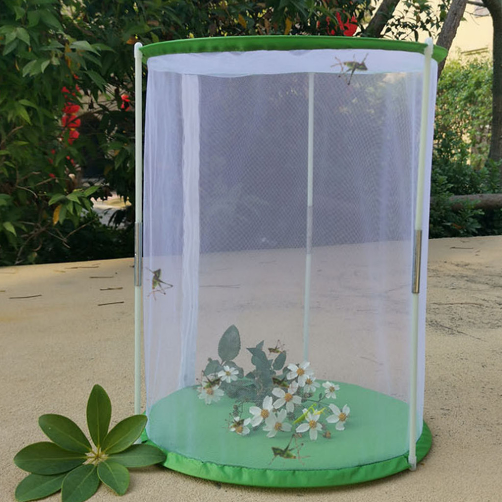 Transparent Plant Enclosure Mini Greenhouse for Plants Mini Butterfly ...