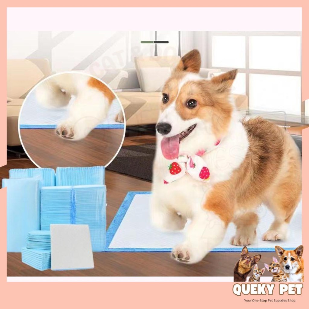 Cocoyo Pet Training Pads Promo Pack Pee Pad for Dogs and Cats and ...