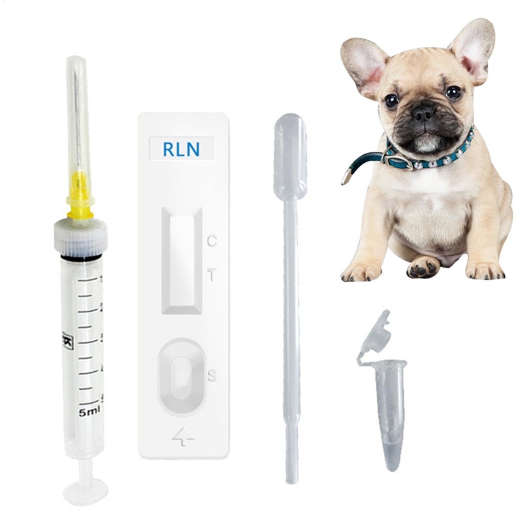 Ovulation Dog Early Pregnancy Test Strip Pregnant Supplies Canine Kit ...